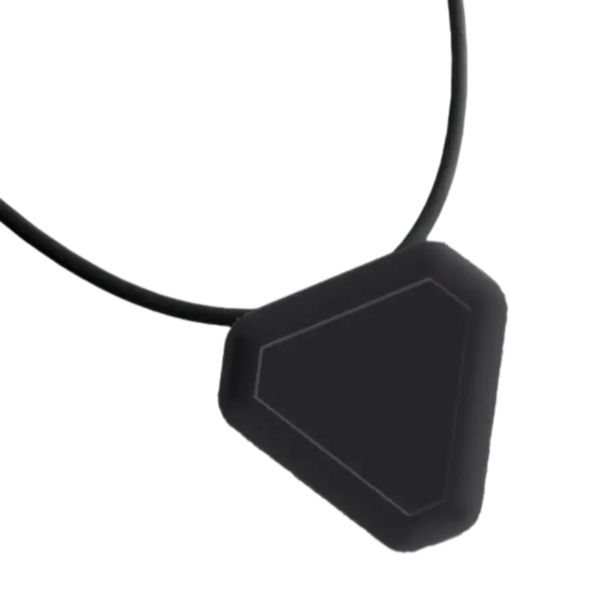 OMI DEV KIT 2 – Omi AI