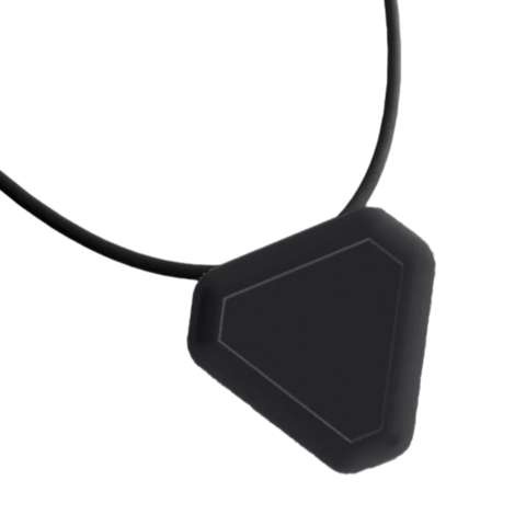 OMI DEV KIT 2 – Omi AI